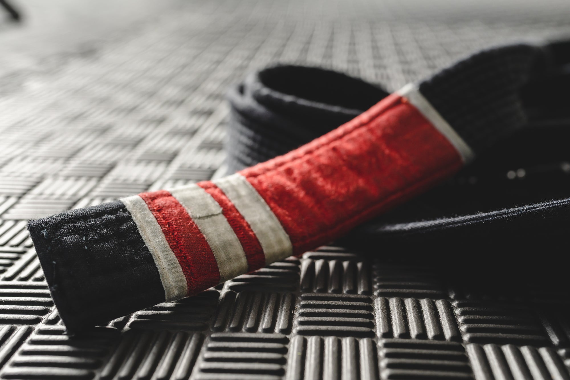 Studio55 Brazilian Jiu Jitsu – Studio55 BJJ